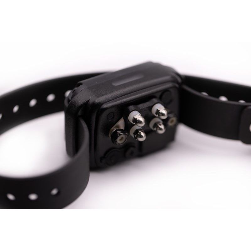 CPAD-024 Titanium Short Point Comfort Pad | E-Collar Technologies