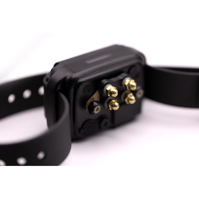 CPAD-001 Short Point Comfort Pad | E-Collar Technologies